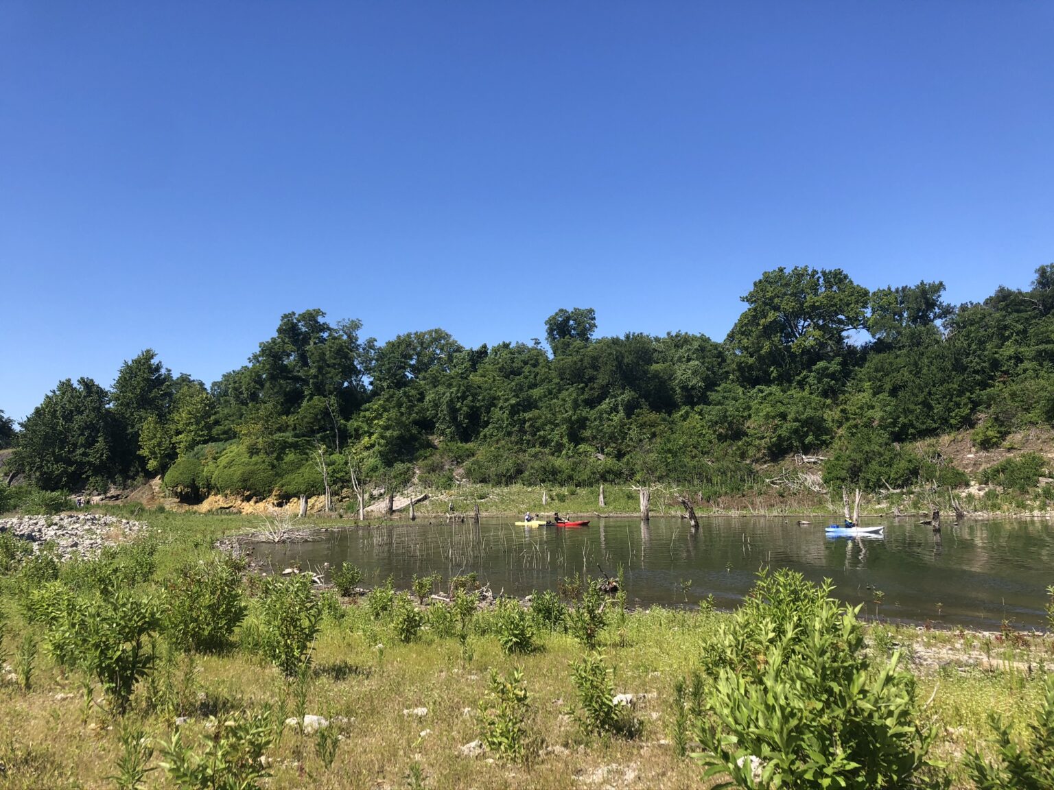 Experience the Magic of Crockett Gardens and Falls in Georgetown ...