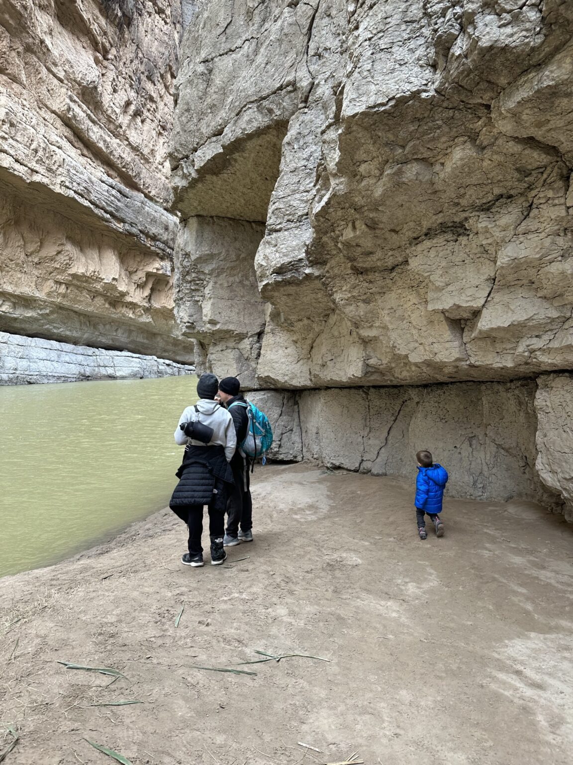 Big Bend National Park With Kids: All The Tips! - Austin Fun for Kids