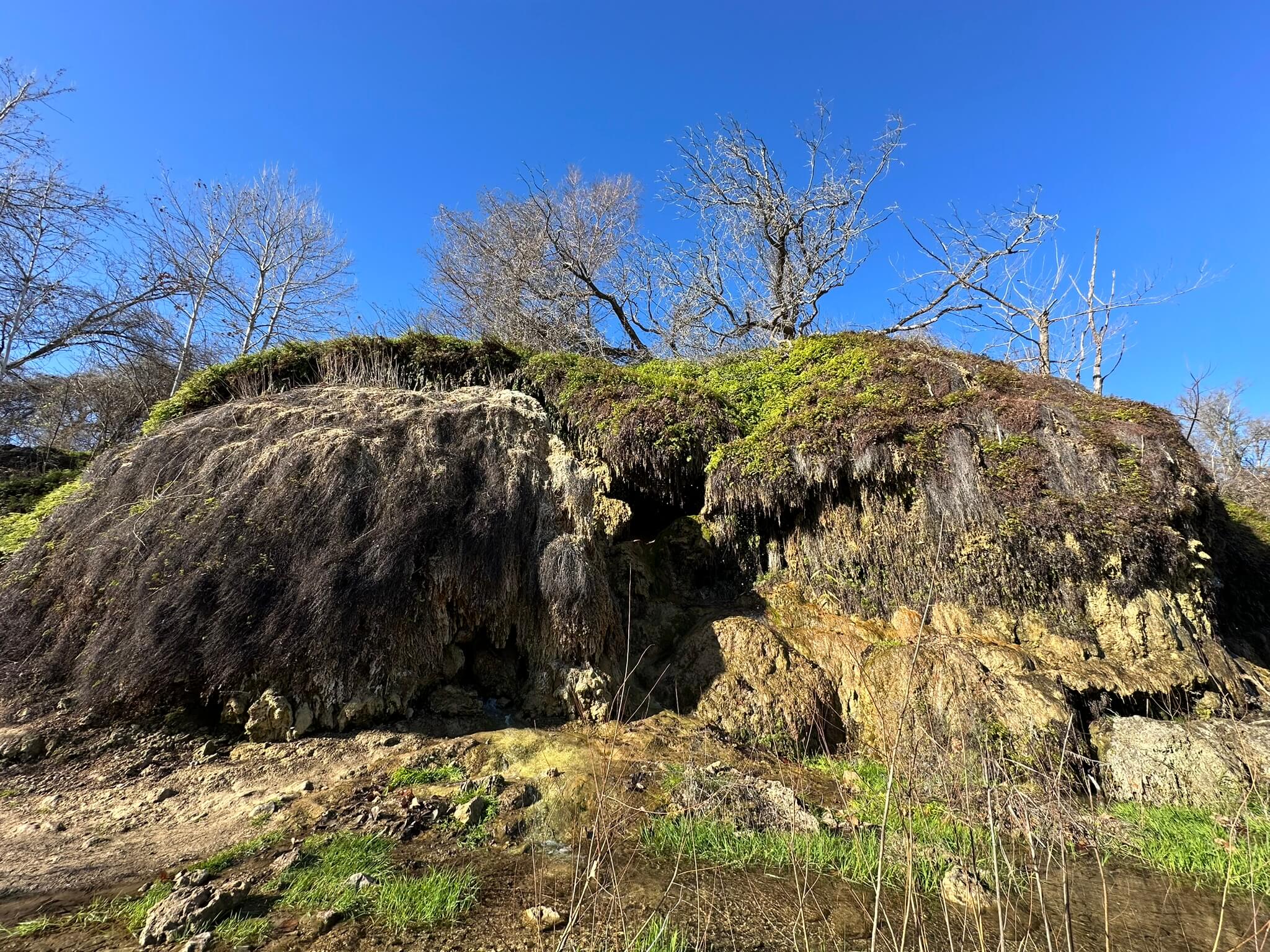 Experience the Magic of Crockett Gardens and Falls in Georgetown ...